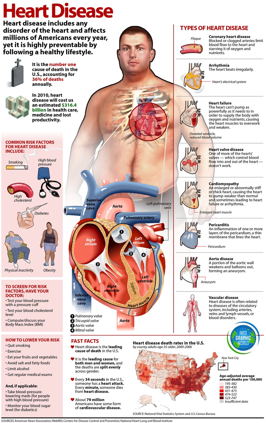 The Facts Of Heart Disease